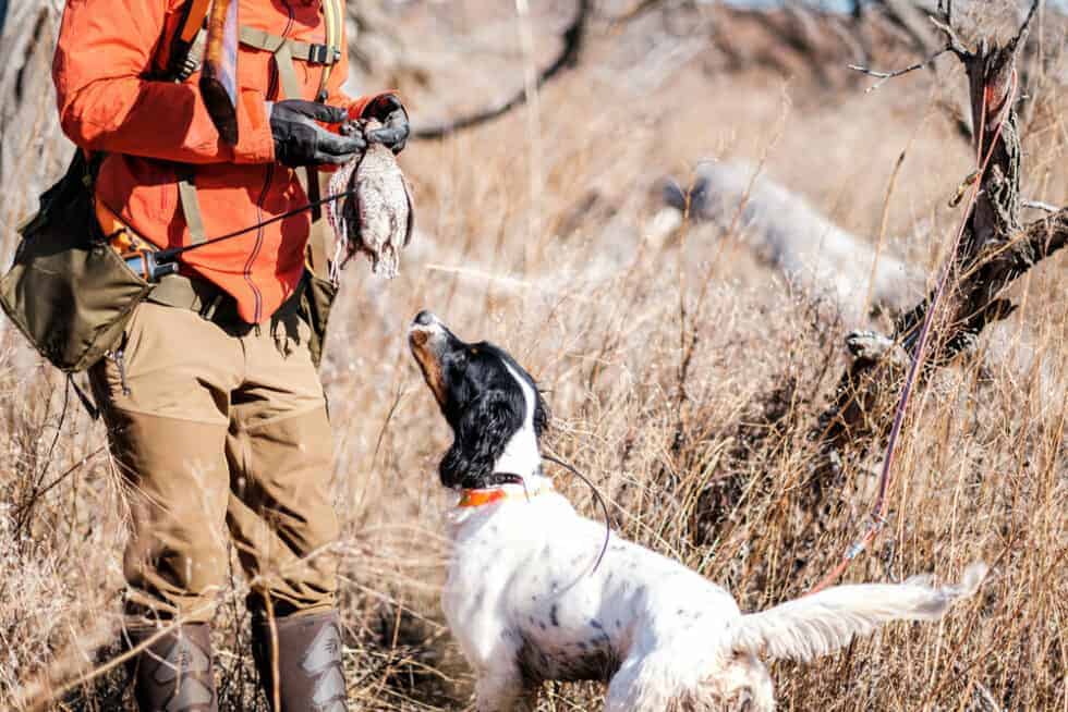 Field Use: First Lite Sawbuck Brush Pant - Modern Huntsman