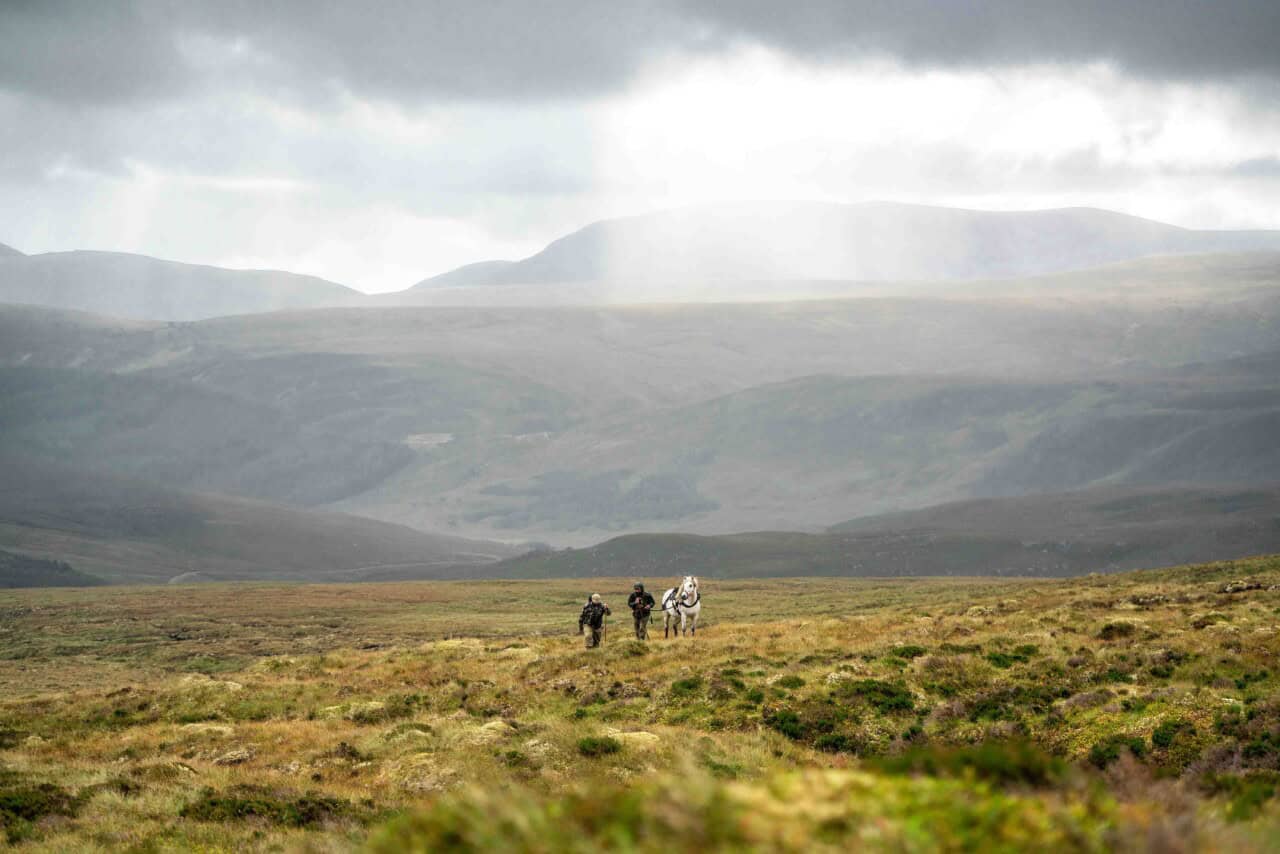 Deer Wars - Modern Huntsman