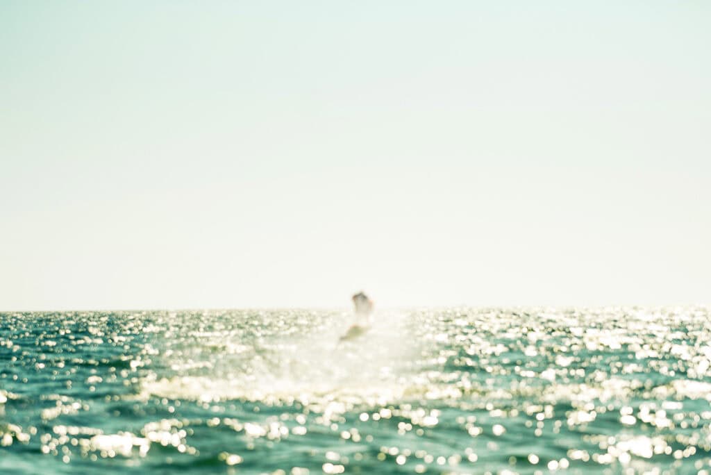 Swimmers - Modern Huntsman